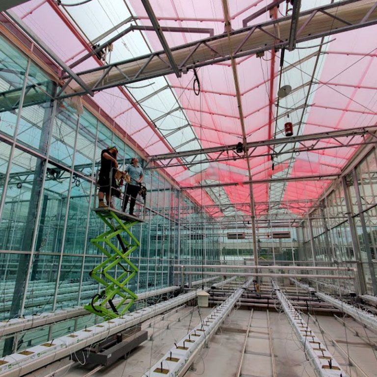 The Technology - LLEAF