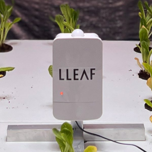 The Technology - LLEAF